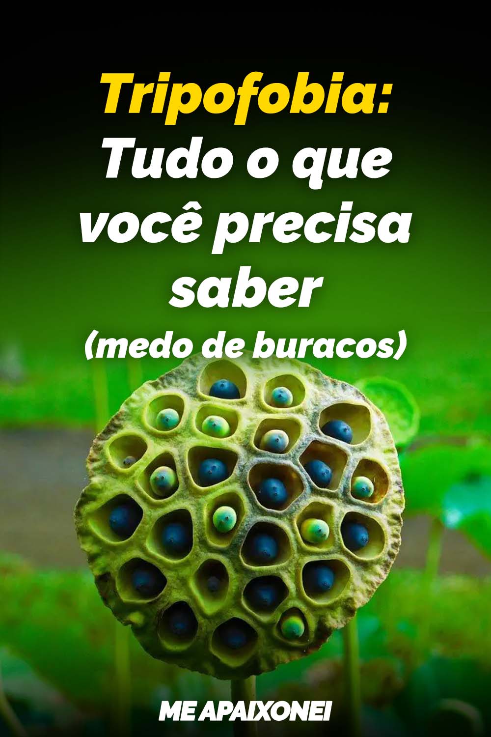 Tripofobia: Tudo o que você precisa saber (medo de buracos)