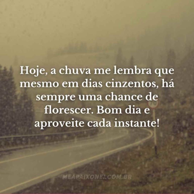 40 Frases de Bom Dia com Chuva para Inspirar e Aconchegar - Me Apaixonei