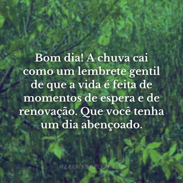 40 Frases de Bom Dia com Chuva para Inspirar e Aconchegar - Me Apaixonei